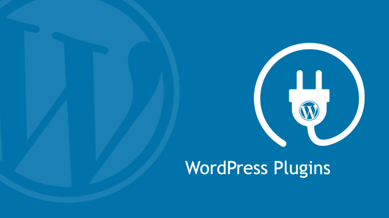What is CodeCanyon? Marketplace for Your WordPress Plugins
