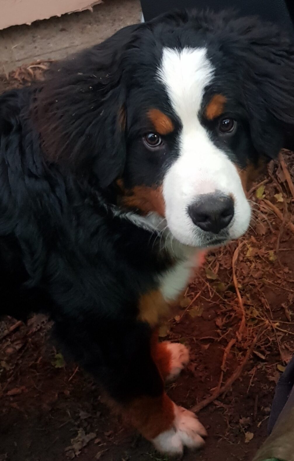 Business Person Dress to Impress: The Ultimate Guide